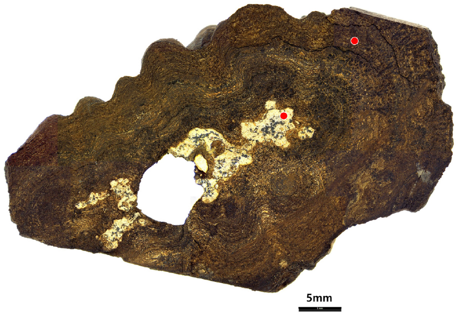 Mineralogical-geochemical Characteristics of Manganese Nodules in the ...